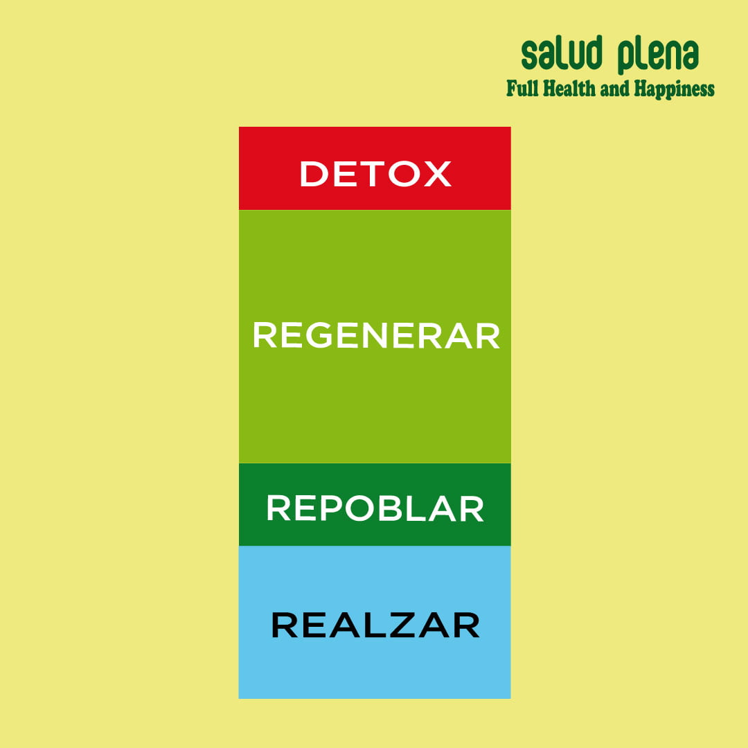 Salud Plena: En qué consiste el programa Salud Plena? – Rincón Natura