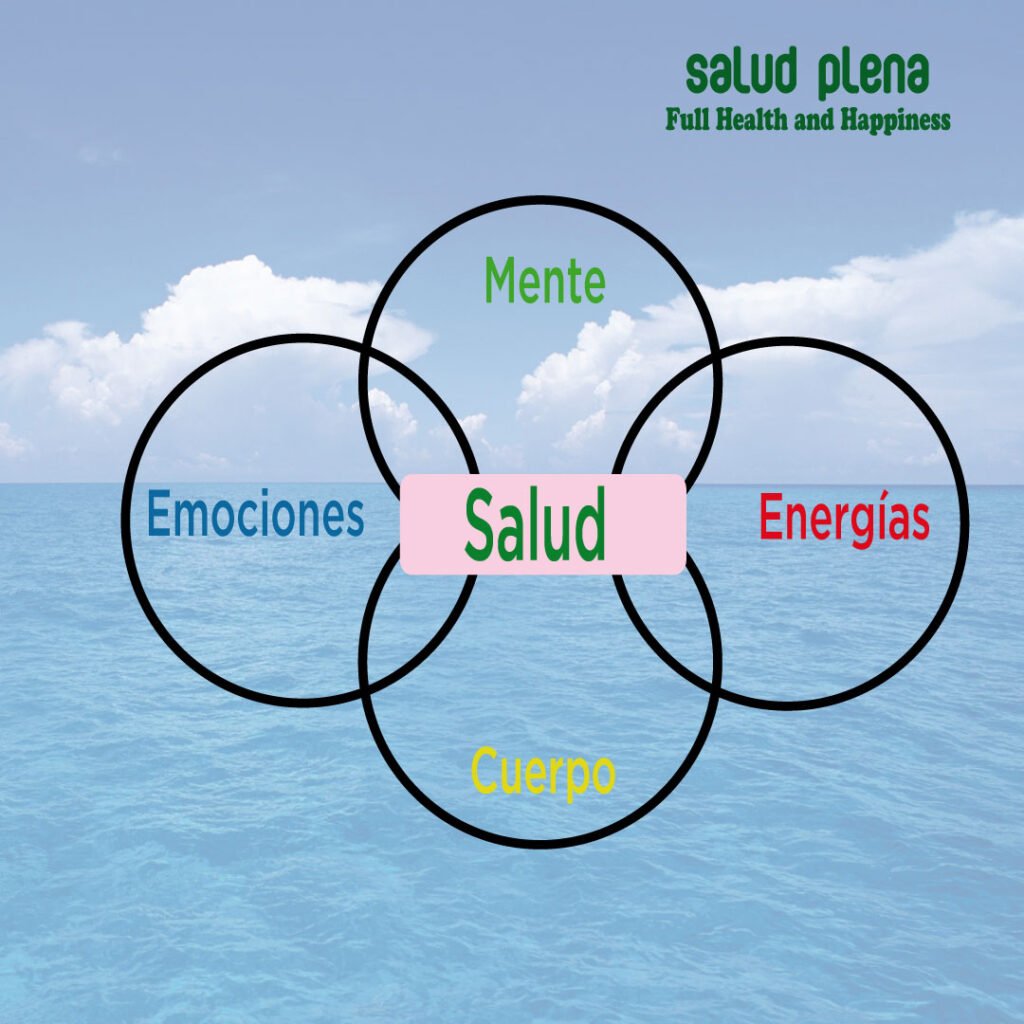 Salud Plena: 9 Principios en los que se basa el Programa Salud Plena ...